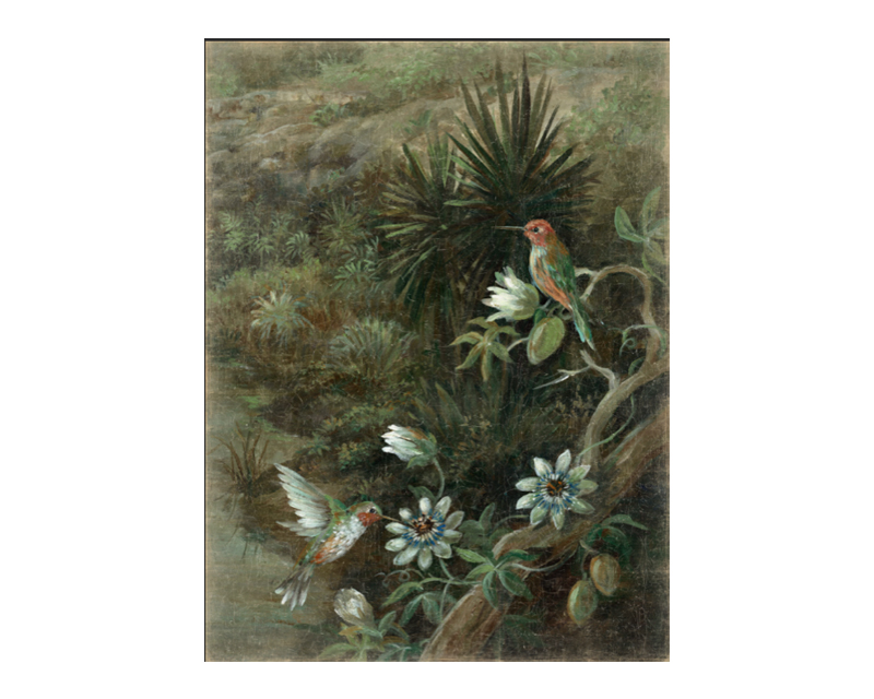 Panel Papel Reciclado Passiflora y colibrí - Marabierto